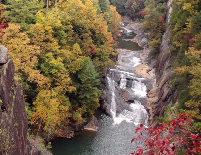 Homepage | Team Georgia for State of Georgia Employees