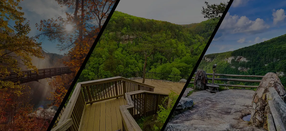 Homepage | Team Georgia for State of Georgia Employees